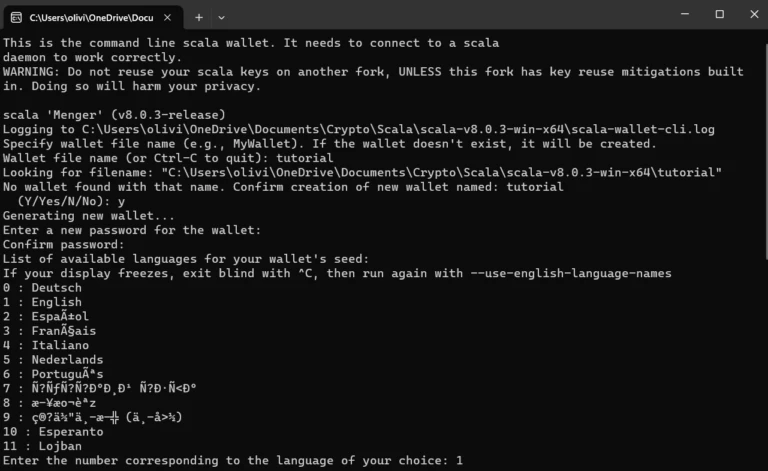 Scala CLI Wallet Guide - Scala